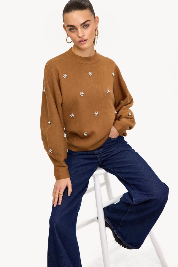 Brown jumper | Loavies