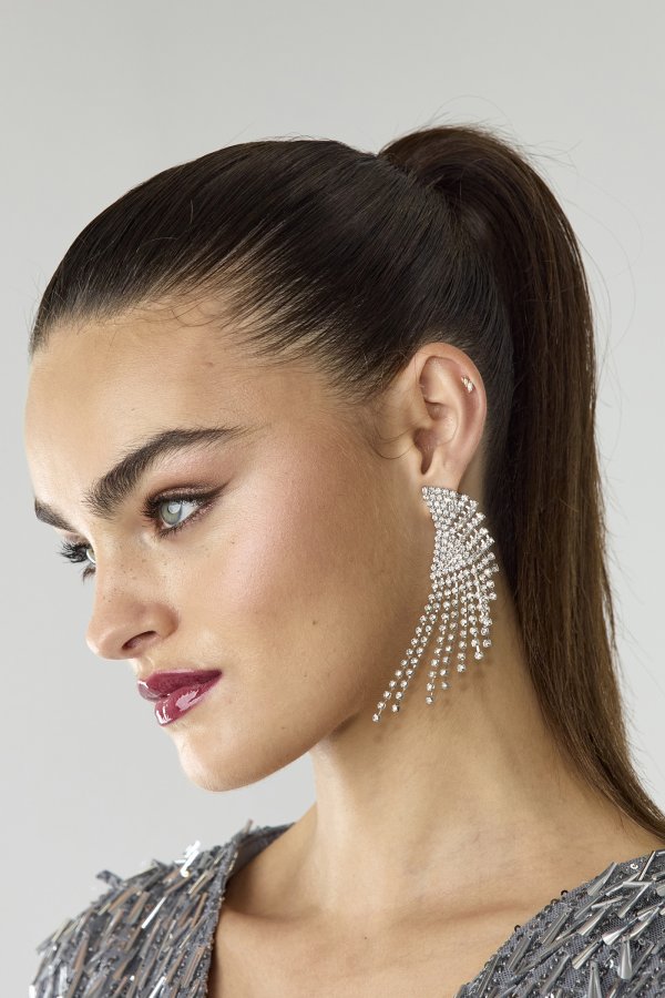 Silver earrings with rhinestones | Loavies